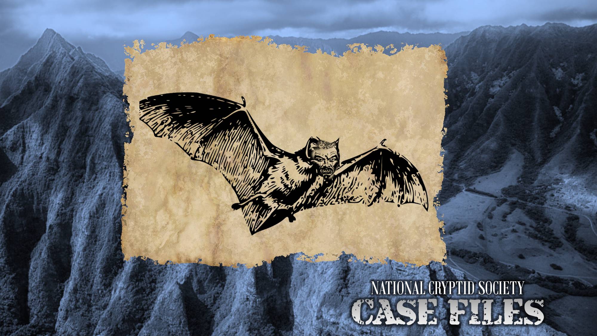 NCS Case File #11: Bat-Creature with Human Face in Hawaii – The ...