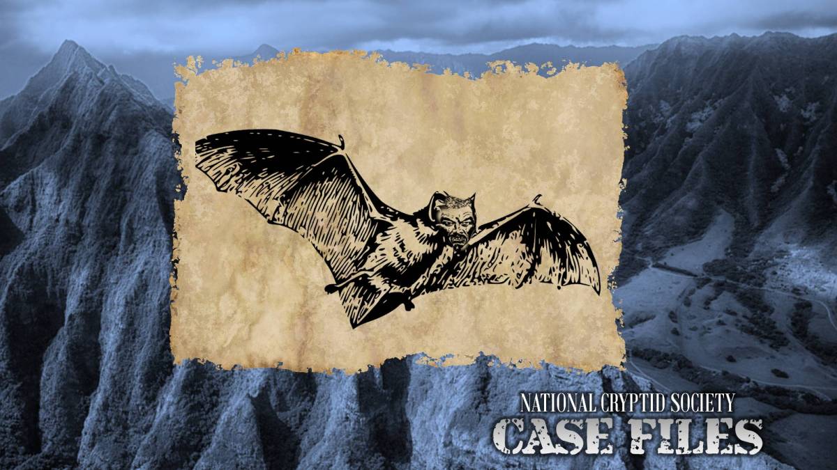 NCS Case File #11: Bat-Creature with Human Face in Hawaii – The ...