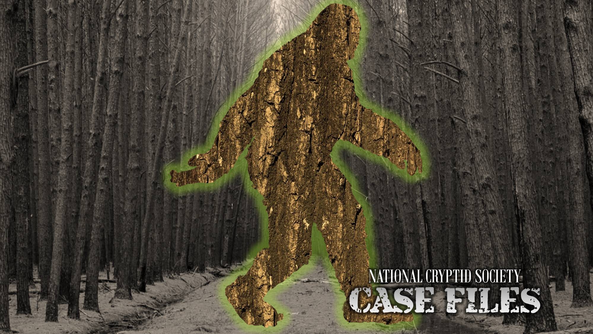 NCS Case File #19: A Bark-Skinned Giant Swings from the Trees in Peguis ...