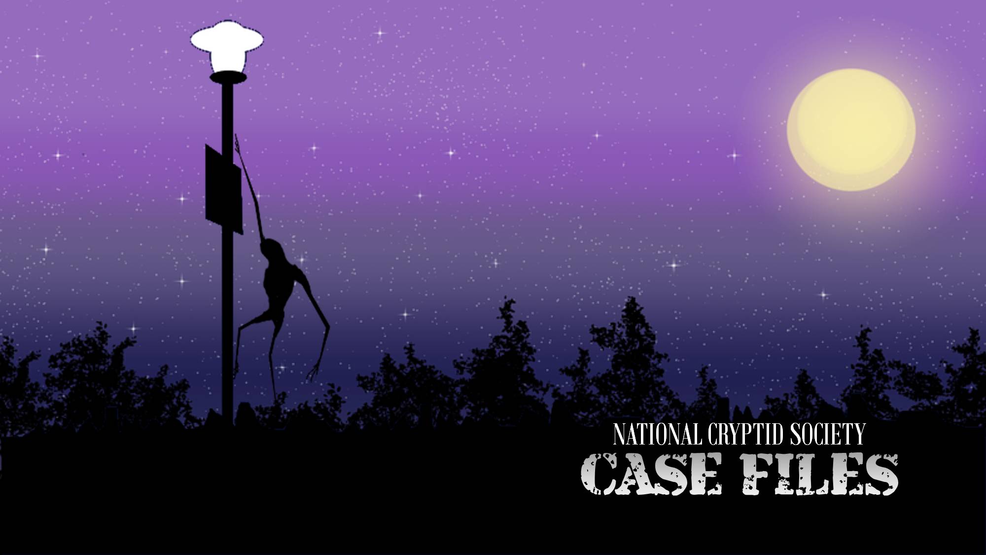 NCS Case File #23: Slender-Limbed Shadow Creature (possible Black Stick ...