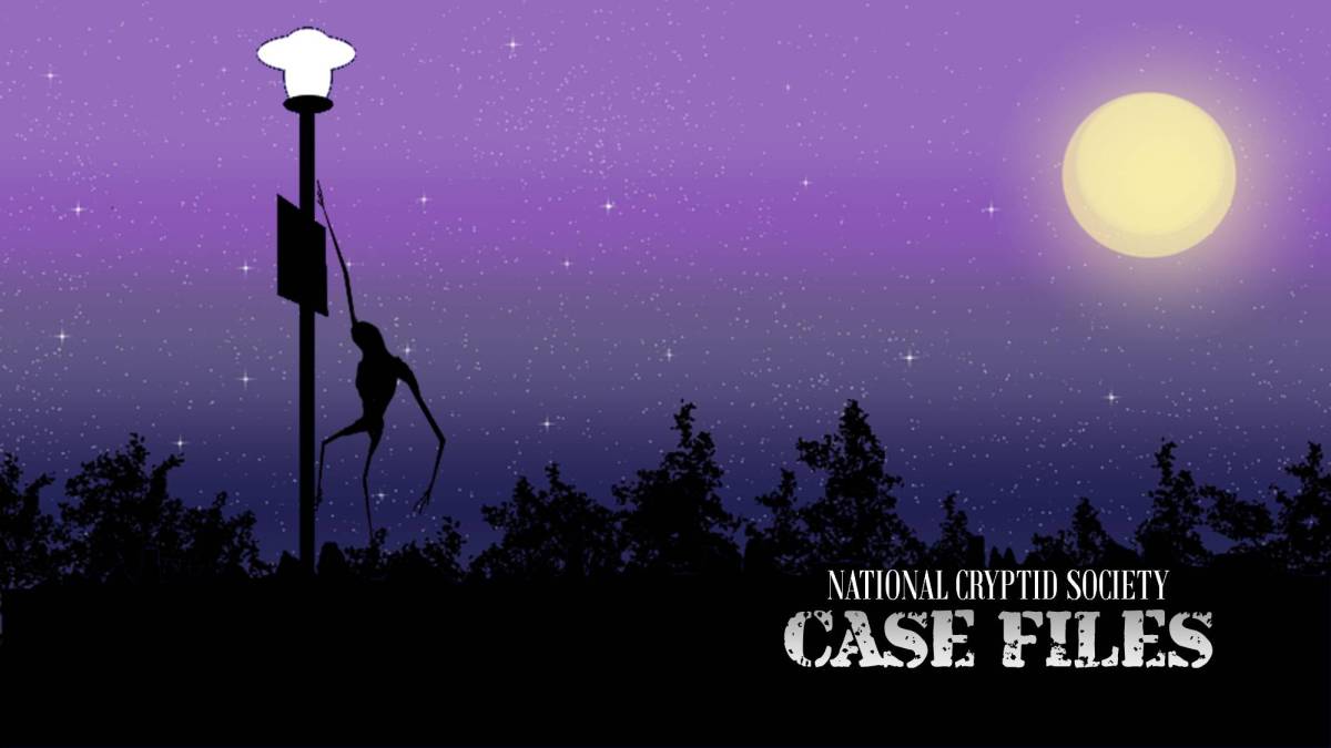 NCS Case File #23: Slender-Limbed Shadow Creature (possible Black Stick ...