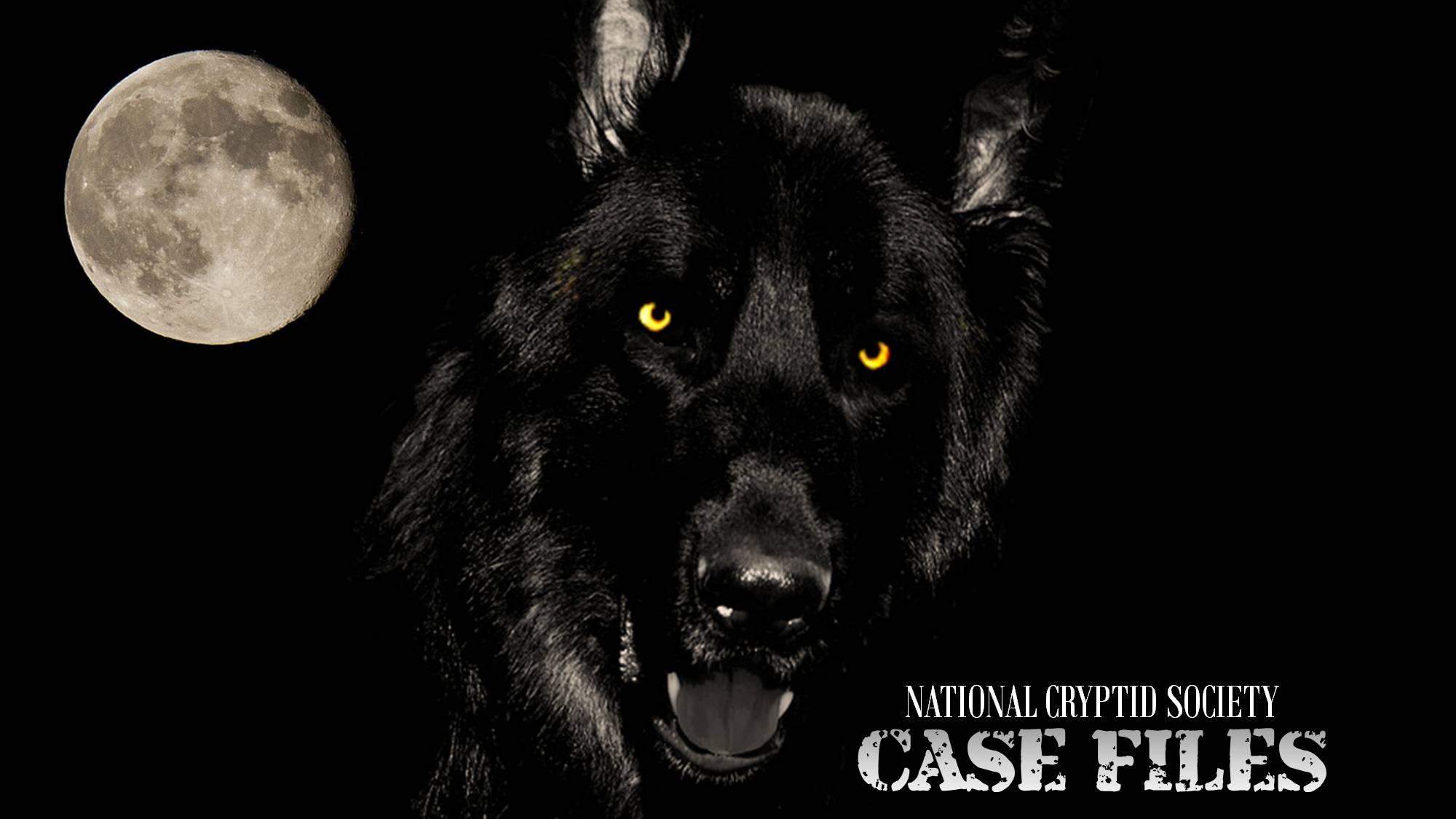 The National Cryptid Society – Bringing cryptozoological awareness to ...