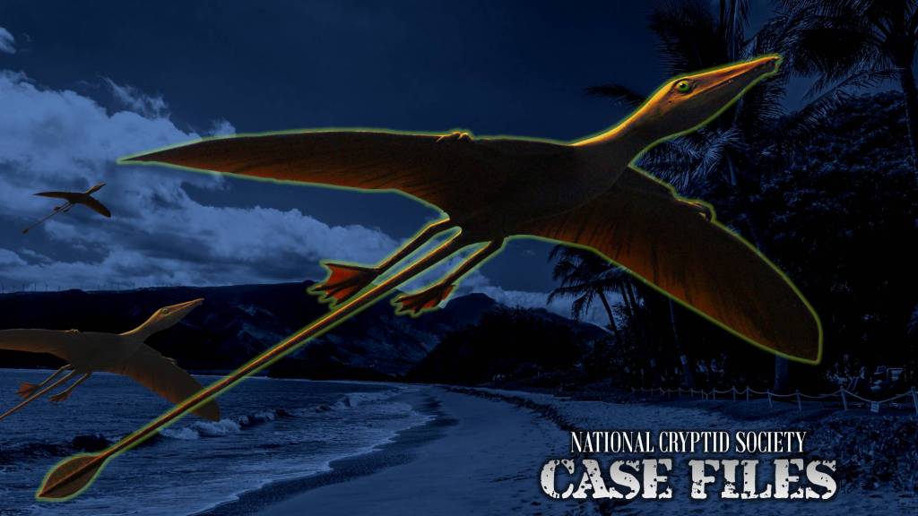 NCS Case File #5: Pterosaur in India. – The National Cryptid Society