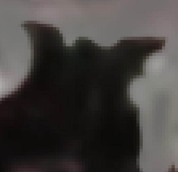 Watch: Huge, Dark Creature in the Woods of Delaware – The National ...