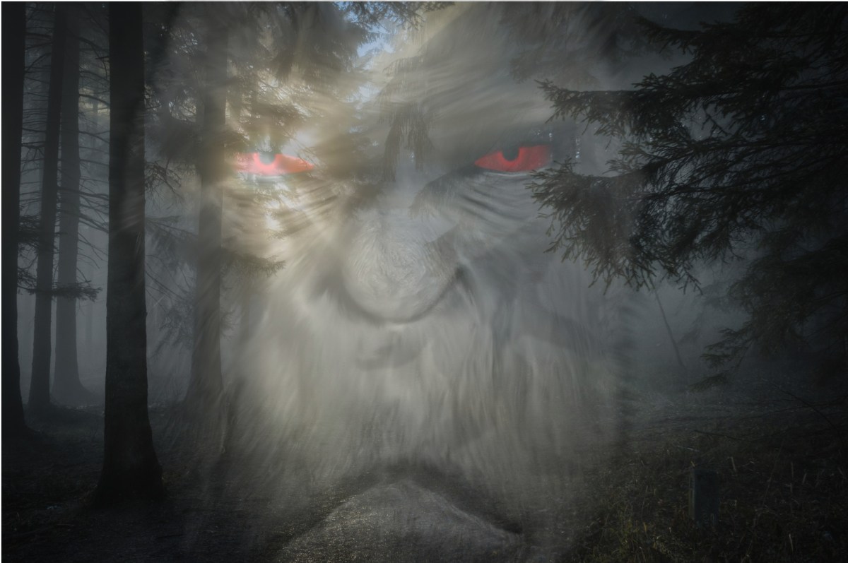 Researcher Spotlight: North American Bigfoot Hunter – The National ...