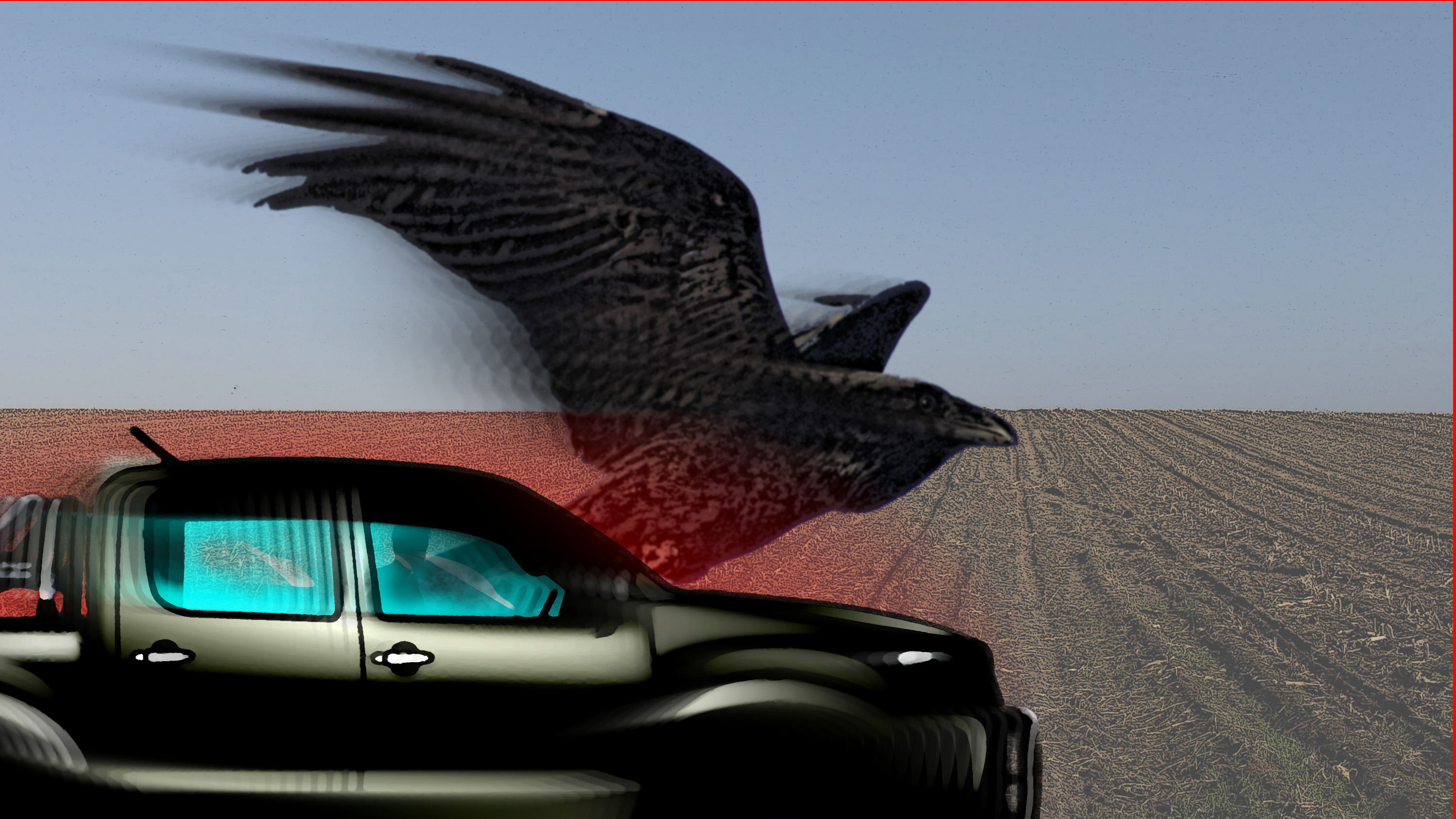 crow – The National Cryptid Society