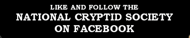 NCS Case File #23: Slender-Limbed Shadow Creature (possible Black Stick ...