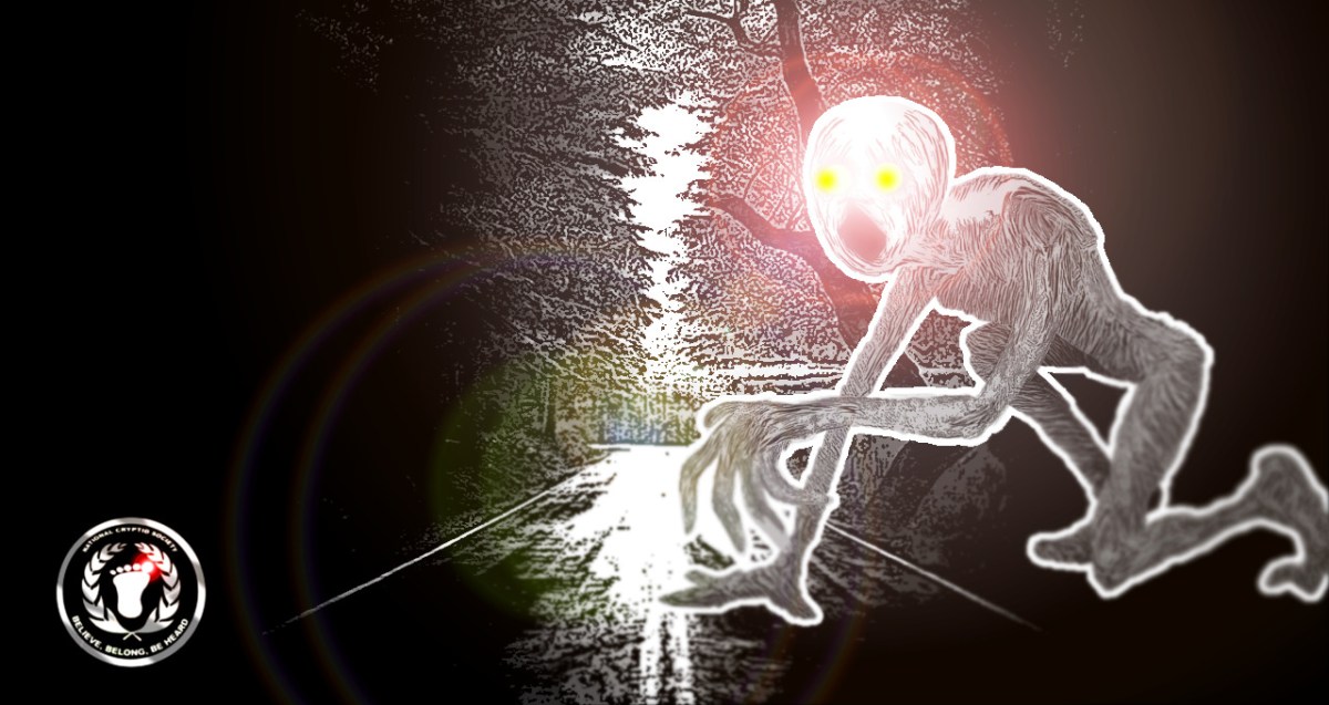 The Pale Crawler; Large Grey Crawling Humanoid in Effingham, Illinois ...