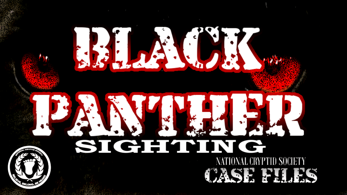 Black Panther Sighting Near Fort Garland, Colorado – The National ...