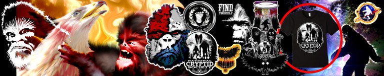 NCS Case File #23: Slender-Limbed Shadow Creature (possible Black Stick ...