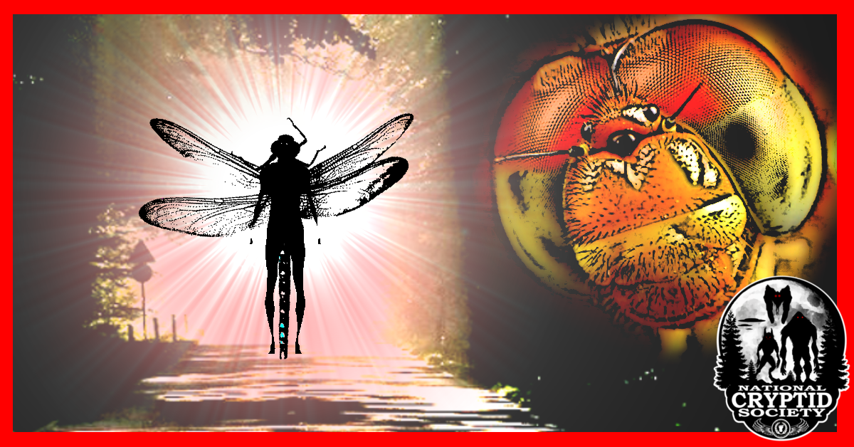 Human Hand-Sized “Insect Fairy” Encountered in Effingham, IL – The ...