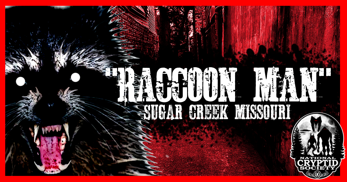 Six-Foot “Raccoon Man” encountered in Sugar Creek, Missouri – The ...