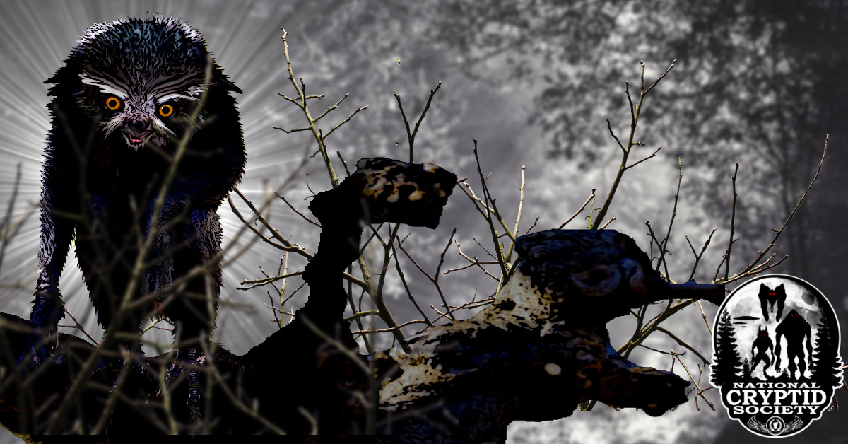The Thing In The Tree; Green Cove Springs, Florida – The National ...
