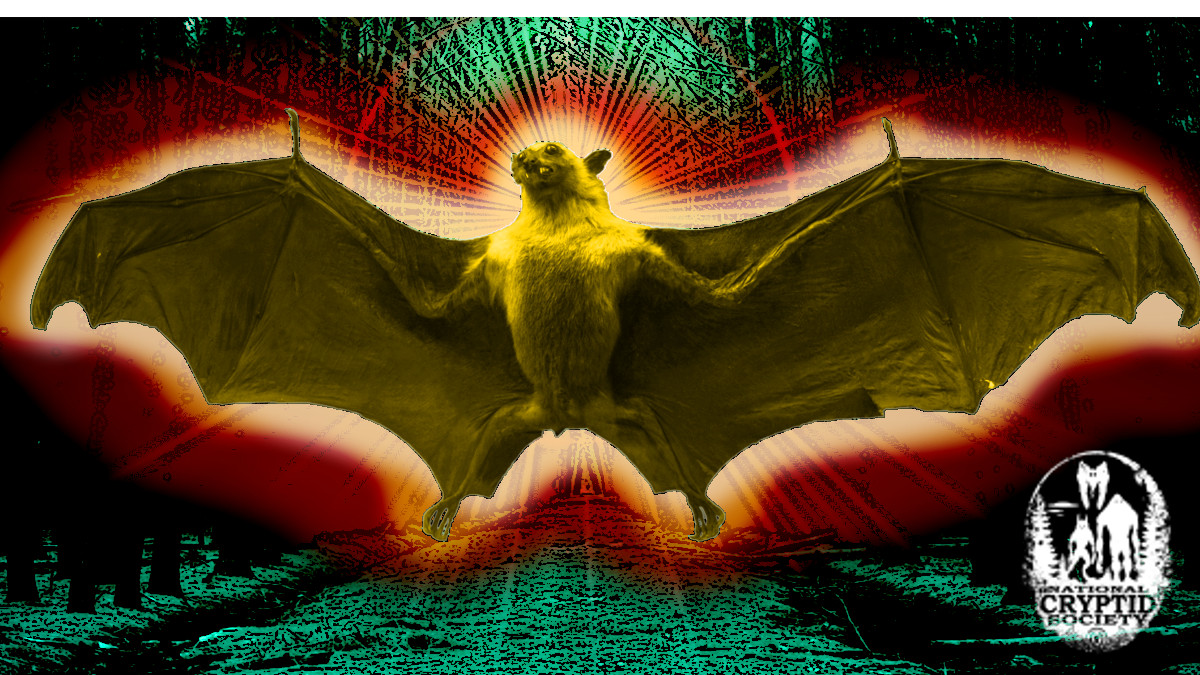 The National Cryptid Society – Bringing cryptozoological awareness to ...